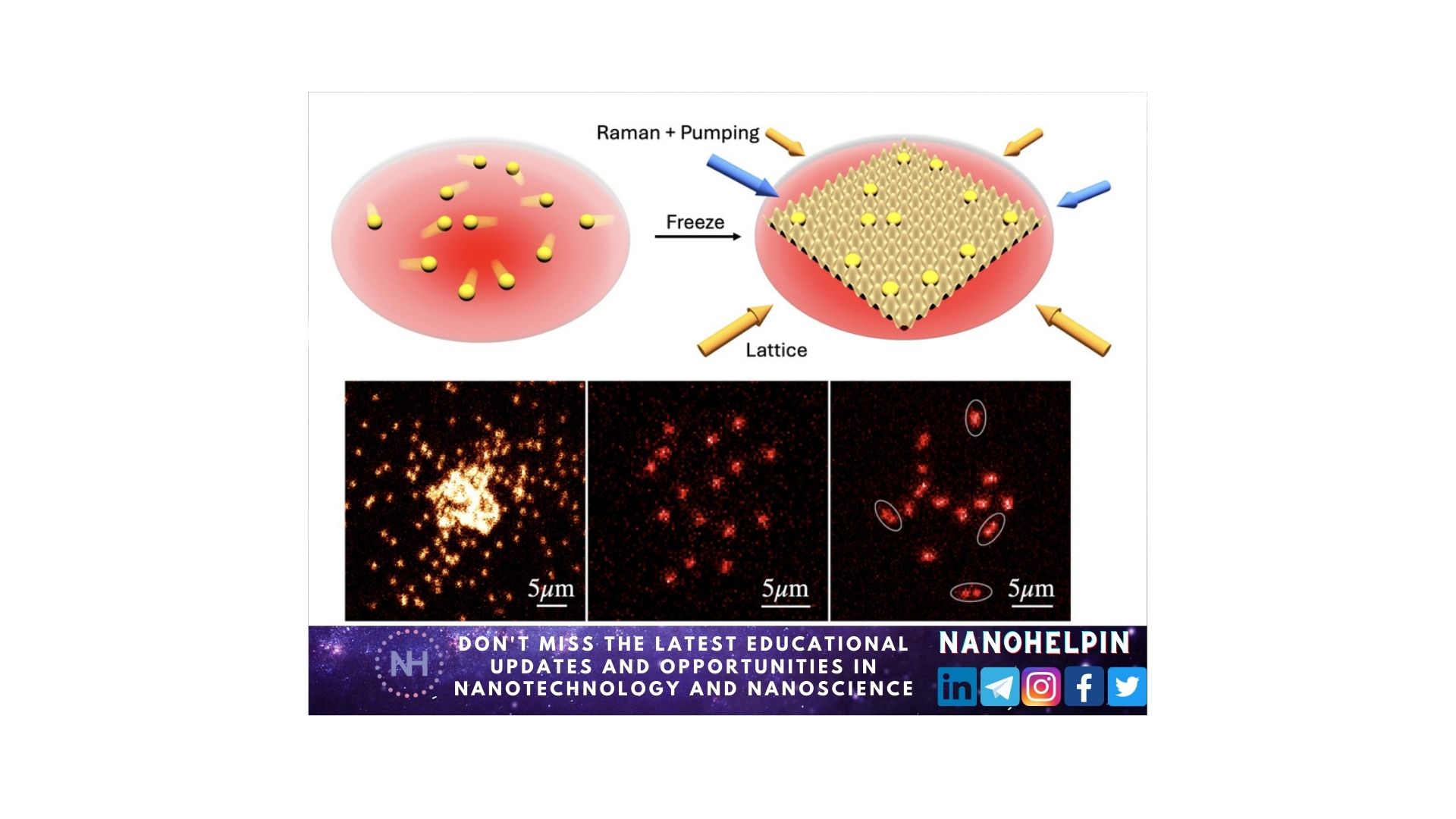 MIT Physicists Capture First Real-Space Images of Free-Interacting ...